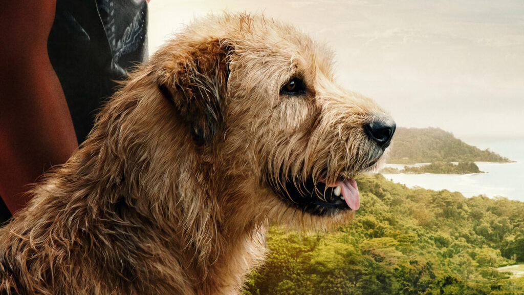 Arthur the King – AU Church Video License by CVLI